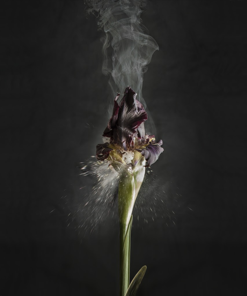 Noga Gallery גלריה נגא | Ori Gersht Artist Profile, Bio, Exhibitions ...