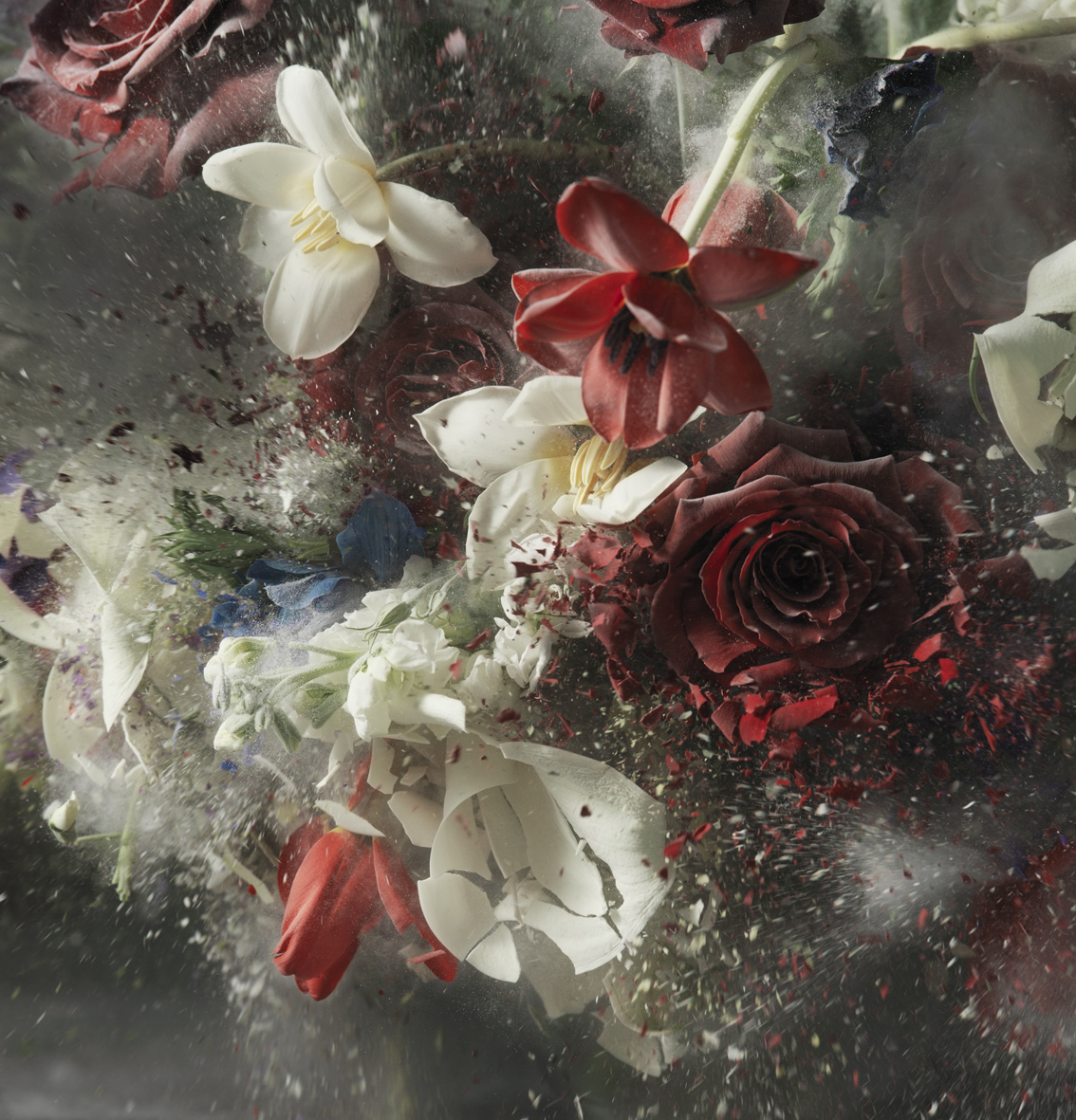 Noga Gallery גלריה נגא | Ori Gersht Artist Profile, Bio, Exhibitions ...