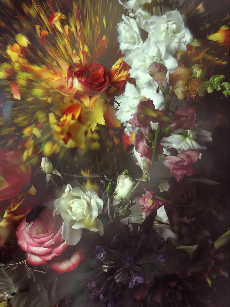 Noga Gallery גלריה נגא | Ori Gersht Artist Profile, Bio, Exhibitions ...