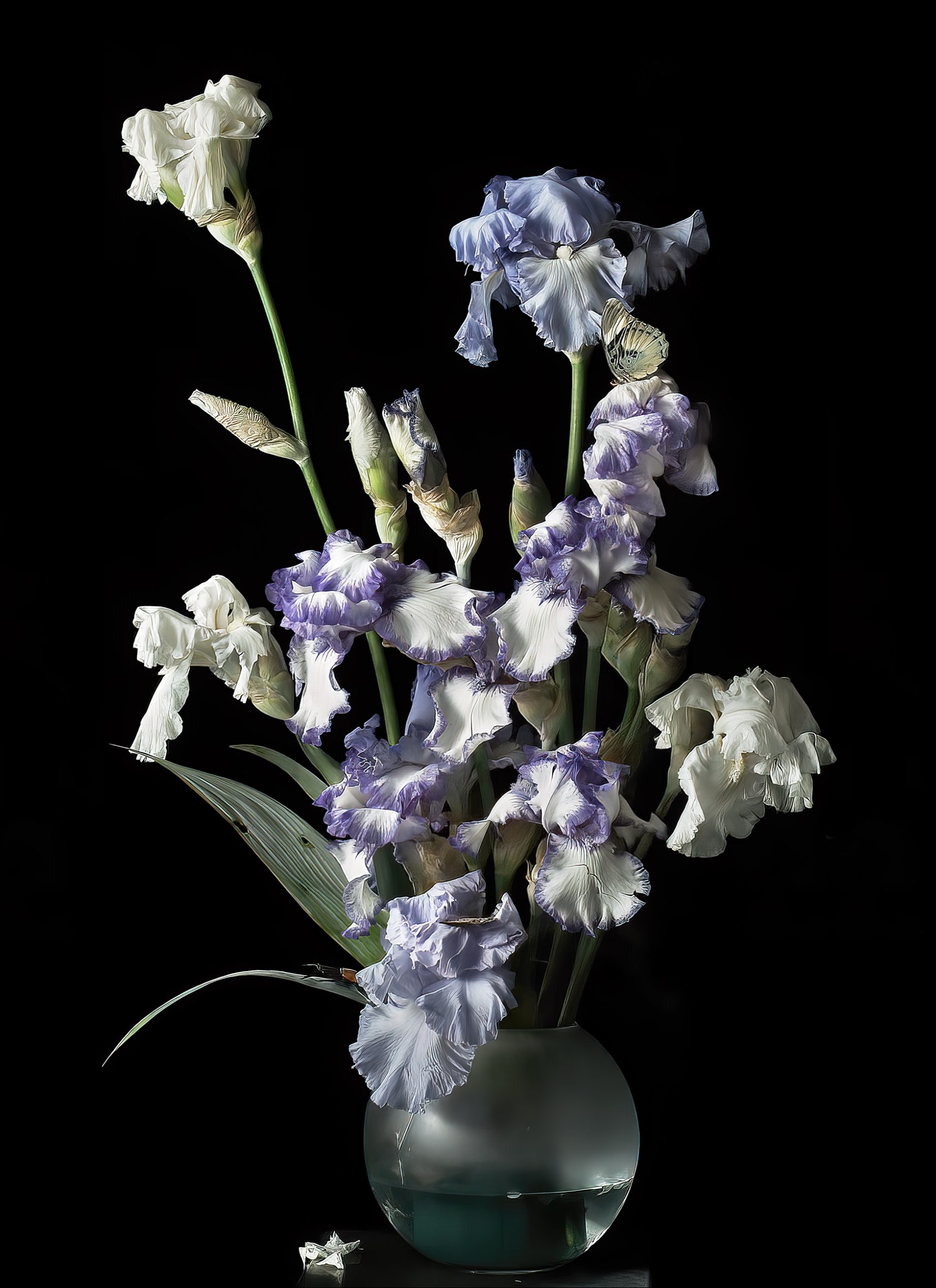 Noga Gallery גלריה נגא | Ori Gersht Artist Profile, Bio, Exhibitions ...